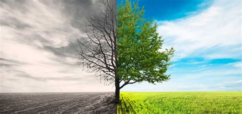 Environmental Concerns Are More Important To This Years Graduating