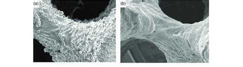 Strut Node Region Of Lattice Structures Developed Through Pbf Additive