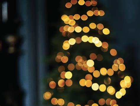 Christmas 2022 At Green Park Brasserie — Green Park Brasserie