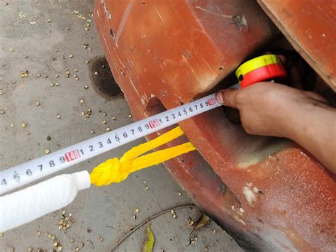 Best Anchor Bungee Cord Robust For Salt And Fresh Water