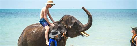 The Global Tourism Boom Is Shifting To India