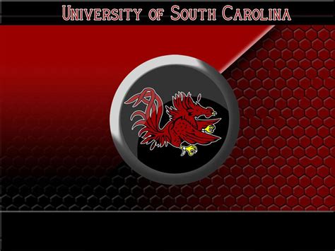 🔥 40 South Carolina Gamecocks Football Wallpapers Wallpapersafari