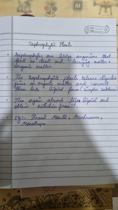 Va Statement In Support Of Claim Example How To Write Powerful Va Personal Statements Step