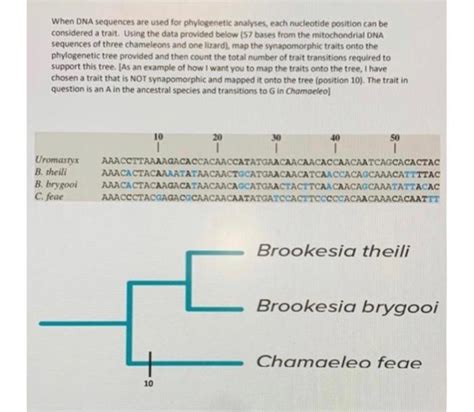 [solved] Please Help Me With This Asap When Dna Sequ