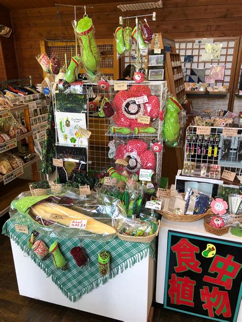 箱根湿生花園 on Twitter 食虫植物特別販売会大盛況ですよっ 当園売店でもひっそりと食虫植物グッズ販売しています ショクダイ