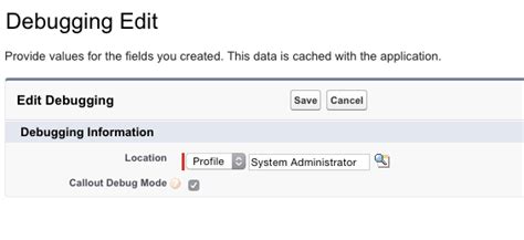 [salesforce custom settings] how and why nerd work