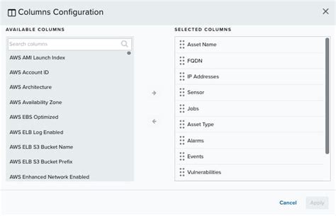 Configuring Columns On Assets