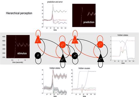This Reports An Example Of Perceptual Categorization Following The Download Scientific