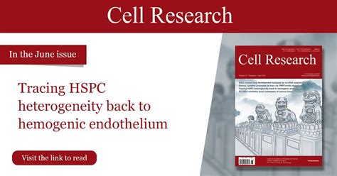 Cell Research On Linkedin Stemcellresearch Hspc Embryogenesis