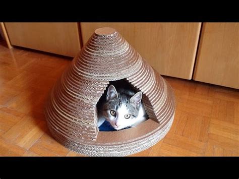 13 Diy Cat Fort Plans You Can Make Today With Pictures Catster