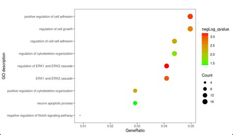 如何用ggplot2绘制基因功能富集气泡图？ 阿里云开发者社区