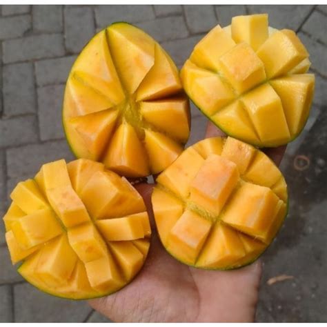 Jual Mangga Manalagi Matang 1 Kg Shopee Indonesia