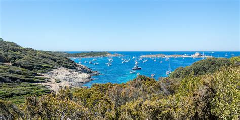 Porquerolles lîle aux deux milliardaires La Revue du vin de France