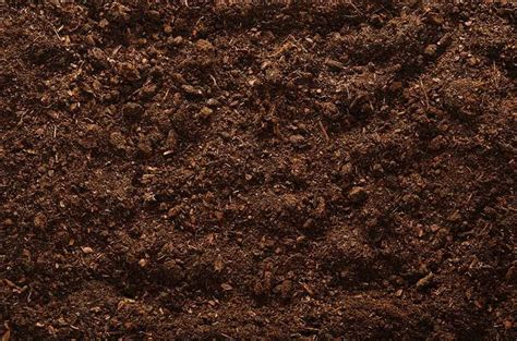 Brown Powder Organic Soil Conditioner Target Crops Vegetables At