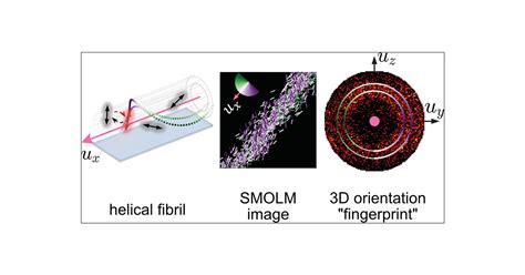 Resolving The Nanoscale Structure Of β Sheet Peptide Self Assemblies