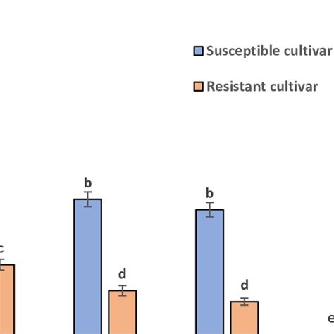 The Concentration Ranges Of Pectinase Treated Potato Root Segments To