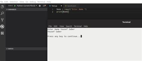 vscode can t debug and launch python code in external terminal on my