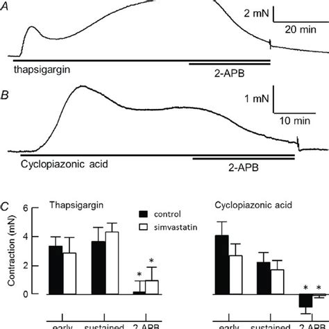 A A Transwell Co Culture System Of Raw 2647 Macrophages And A549 Cells