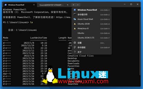 WSL还是标准Linux发行版Windows系统上使用Linux的最佳方案 良许Linux教程网