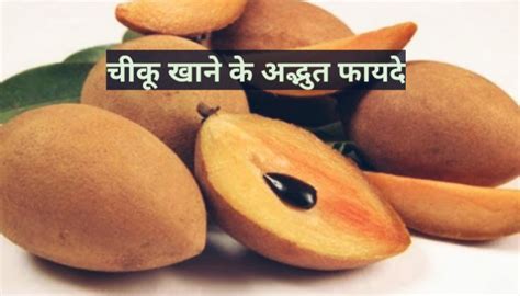 Chiku Khane Ke Fayde पाचन संबंधित समस्याओं के लिए फायदेमंद