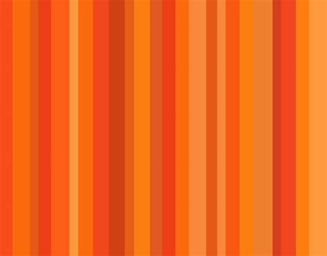 Download Vibrant Fall Colors In A Serene Forest
