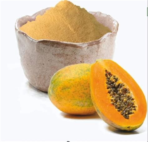 Sandal Carica Papaya Fruit Extract Powder Packaging Type Loose At