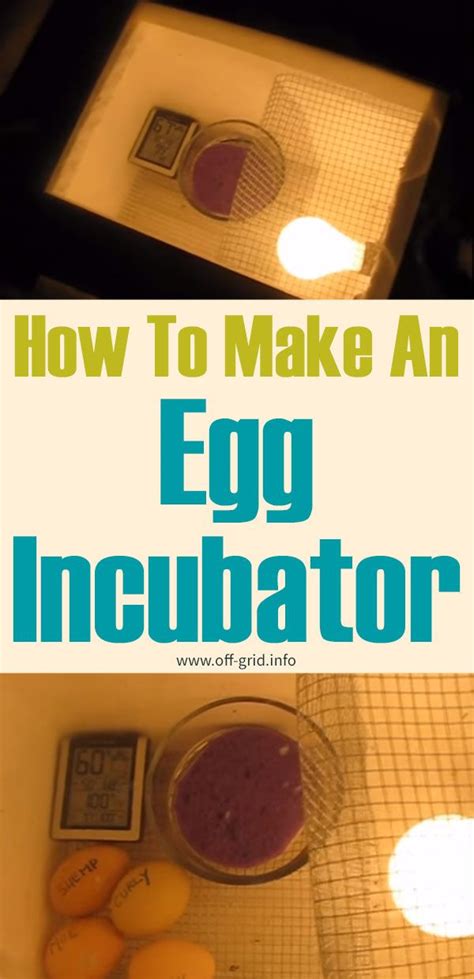 Homemade Egg Incubator Instructions