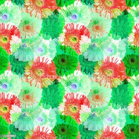 녹색과 빨간색 거베라 꽃의 원활한 패턴 생생한 여름 데이지 꽃 장식 추상 거버 꽃 질감 예술 벽지 활기찬 판타지 장식 배경 트렌디 한 패션 프린트 디자인 녹색에 대한 스톡