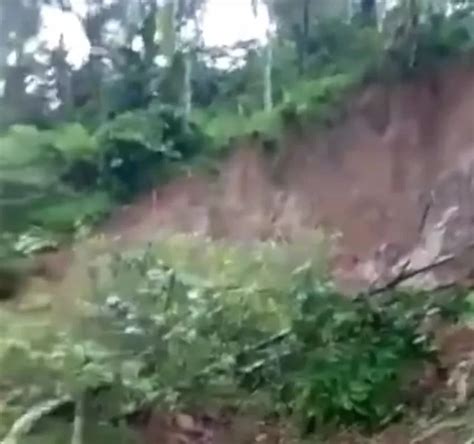 Detik Detik Longsor Terekam Warga Di Dampit Kabupaten Malang Harian