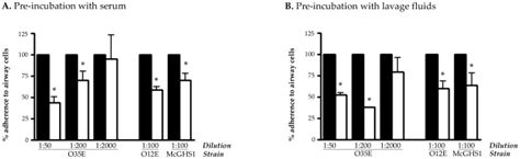 The Wt M Catarrhalis Strains O35e O12e And Mcghs1 Were Preincubated