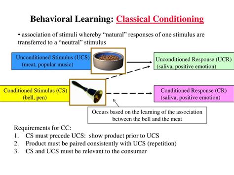 Ppt Information Processing Learning And Memory Powerpoint Presentation Ppt Information Processing Learning And Memory Powerpoint Presentation