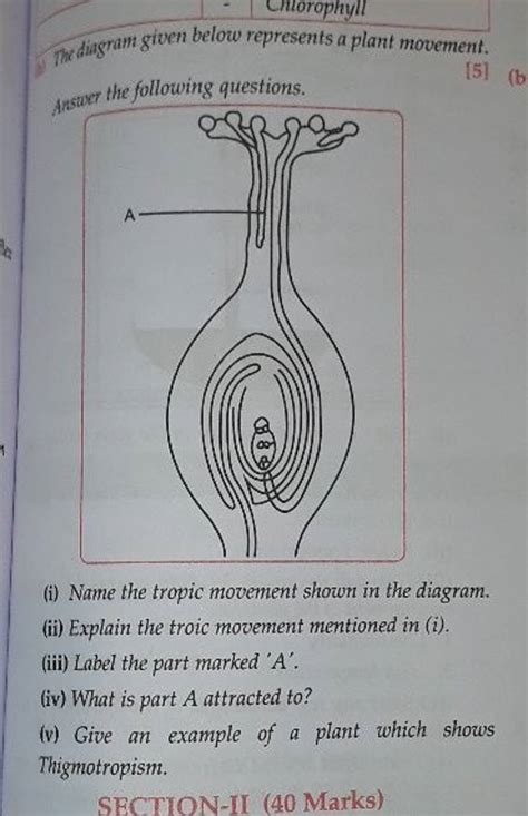 The Diagram Given Below Represents A Plant Movement Ansale The Following