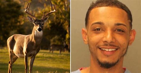 Man Accused Of Stealing Bus Put Dead Deer In Back For Fertilizer