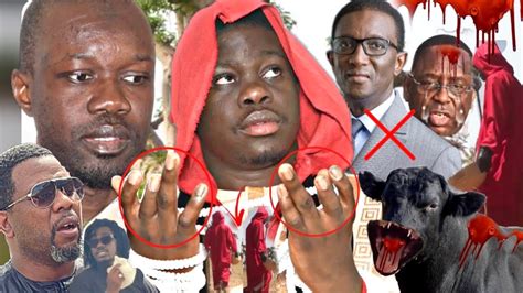 Allahou Akbar Macky dina worr Amadou Bâ Sonko kassè la Le Saltigué