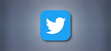 How To Reduce Twitter Data Usage On IPhone And Android