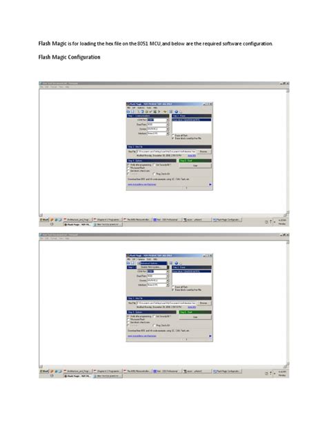 flash magic configuration pdf