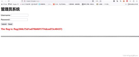 【bugku ctf】post、头等舱、网站被黑、alert、你必须让他停下、本地管理员、bp 头等舱bugku csdn博客
