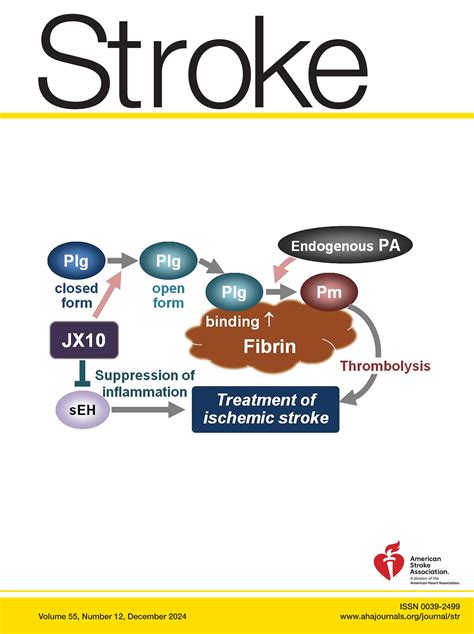 2024 Guideline For The Primary Prevention Of Stroke A Guideline From