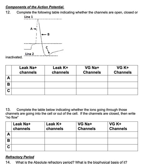 Solved Components Of The Action Potential 12 Complete The Following