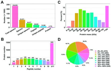 primary data analysis and protein identification a basic