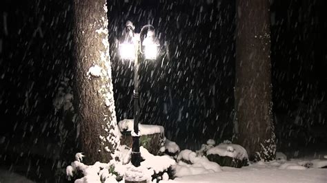 Snow Falling at Night Without Music - 4 Hours - YouTube