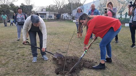 CELEBRACIÓN DEL ÁRBOL Se plantaron especies nativas en la Plaza de