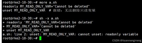 unset 命令介绍和使用案例 linux unset csdn博客