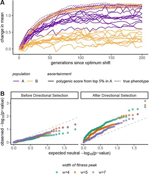 Skin Color Polygenic Graph