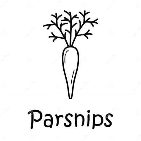 Badge Parsnips With The Inscription Stock Vector Illustration Of
