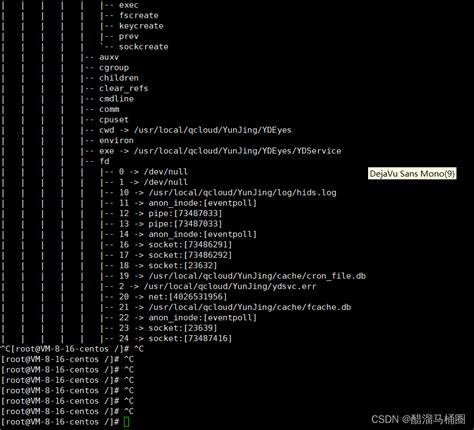 【linux】shell命令运行原理 认识linux基本指令shell 运行的ls、mv、rm等指令本质上是什么 Csdn博客