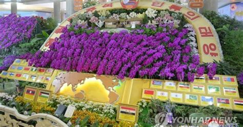 북한 태양절 기념 김일성화축전 개막