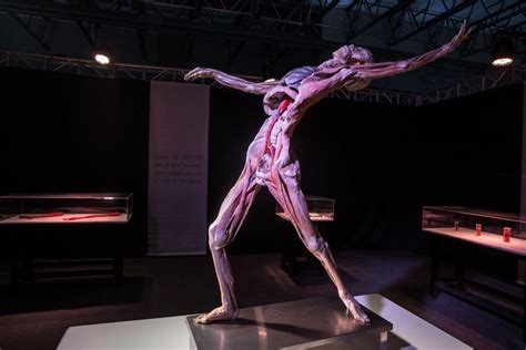 Veja estas fotos incríveis da exposição de corpos humanos que chega a Foz Clickfoz
