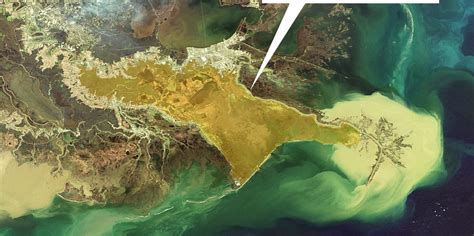 Mississippi River Delta Sediment Co Evolution Of Wetland Landscapes