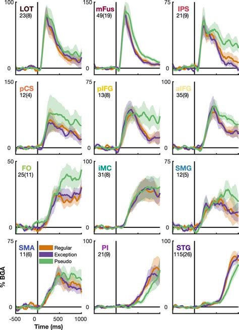 Spatiotemporal Activation Profiles Of Known And Novel Words Mean